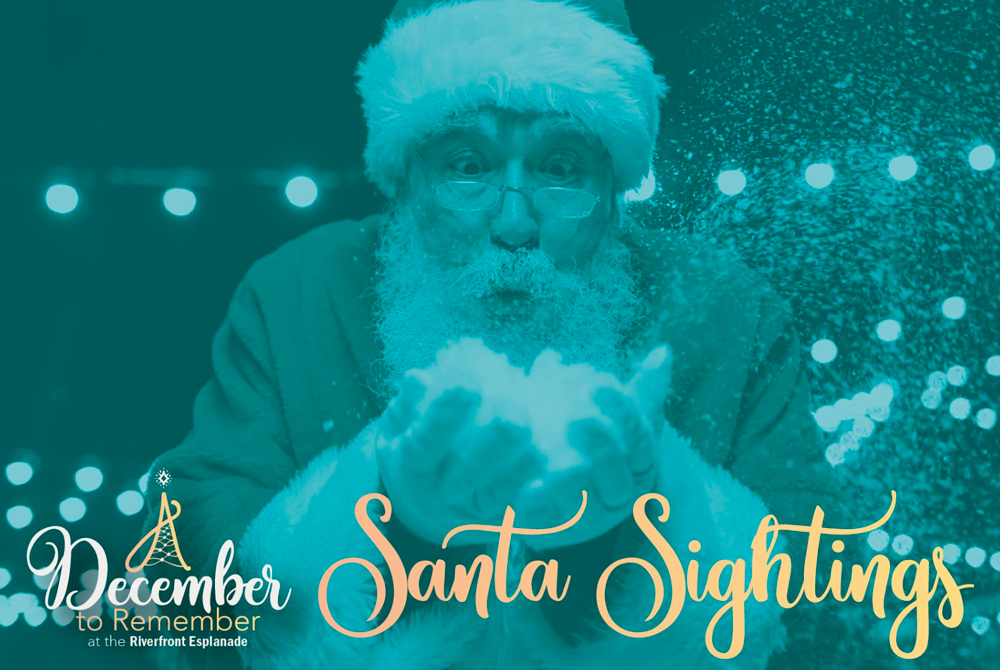 Santa Sightings